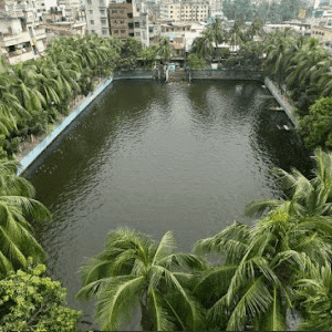 Coverage | DOT Internet